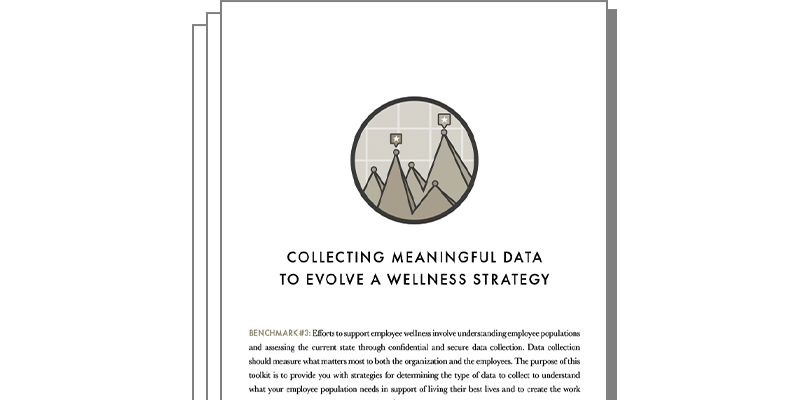 Benchmark 3: Collecting Meaningful Data to Evolve a Wellness Strategy ...